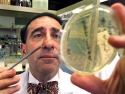 Dr Stuart Levy, ‘Father of Antibiotic Stewardship,’ Dies at 80 | blog ...