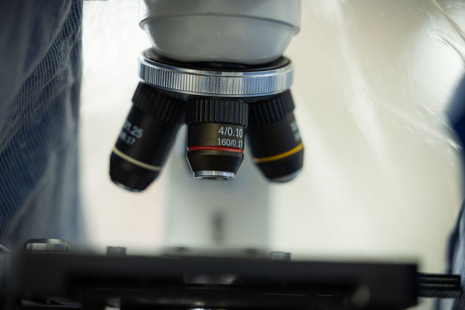 Pesquisadores da USP investigam vírus sabiá, ressurgido no Brasil após ...